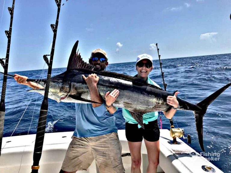 How to Go Marlin Fishing in Texas: An Angler’s Guide for 2024