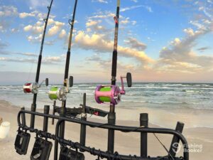 How to Go Shark Fishing: An Angler’s Guide