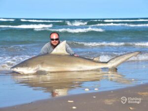 How to Go Shark Fishing: An Angler’s Guide