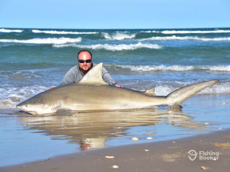 How to Go Shark Fishing: An Angler’s Guide for 2026