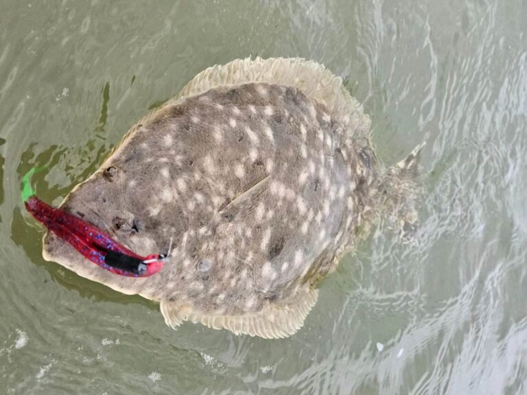 Texas State Record Fish: The Complete Guide