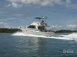 Fishing in BRAZIL: The Complete Guide
