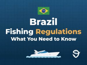 FishingBooker: Brazil Fishing: The Complete Guide for 2023