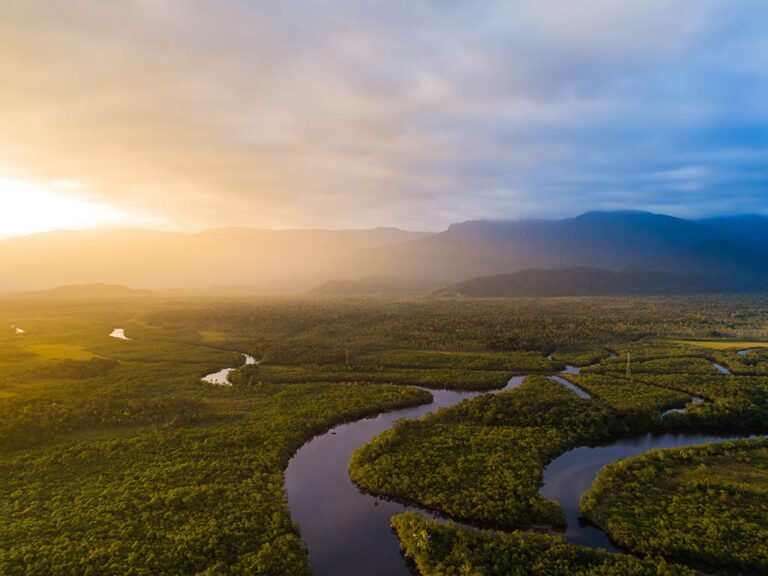 How to Go Fishing for Arapaima: The Complete Guide