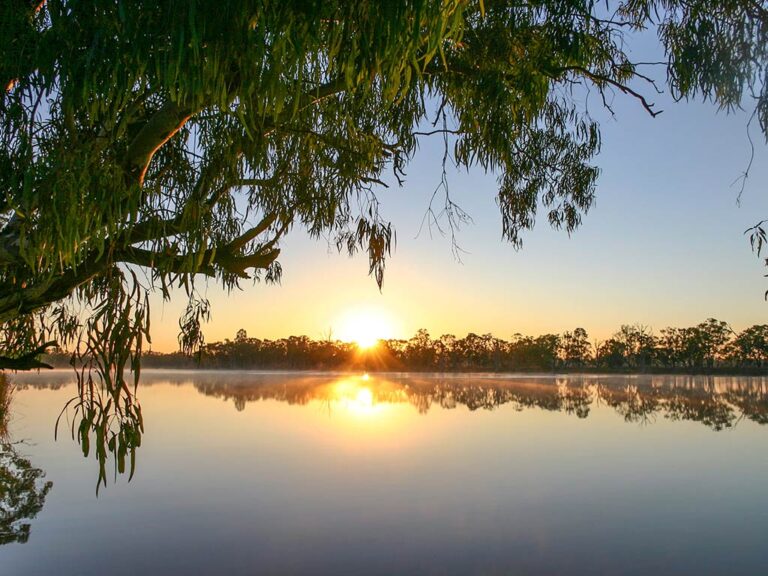 Fishing in SOUTH AUSTRALIA: The Complete Guide