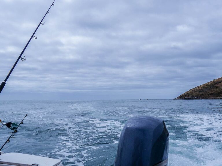 Fishing in SOUTH AUSTRALIA: The Complete Guide