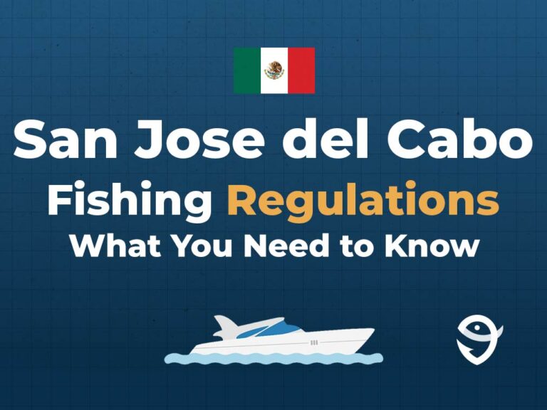Fishing in SAN JOSE DEL CABO: The Complete Guide [VIDEO]