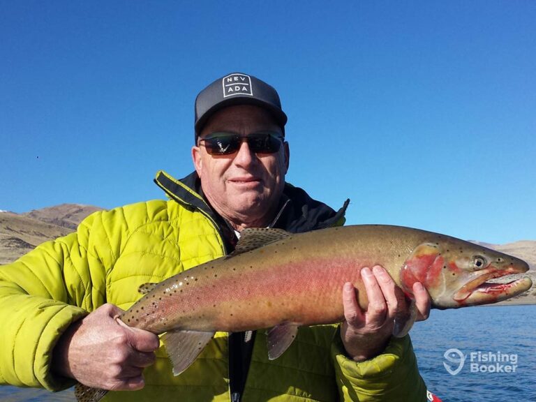 Fishing in NEVADA: The Complete Guide