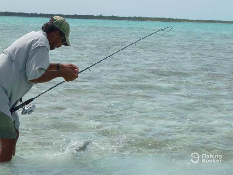How to Go Bonefishing in the Bahamas: An Angler’s Guide for 2026