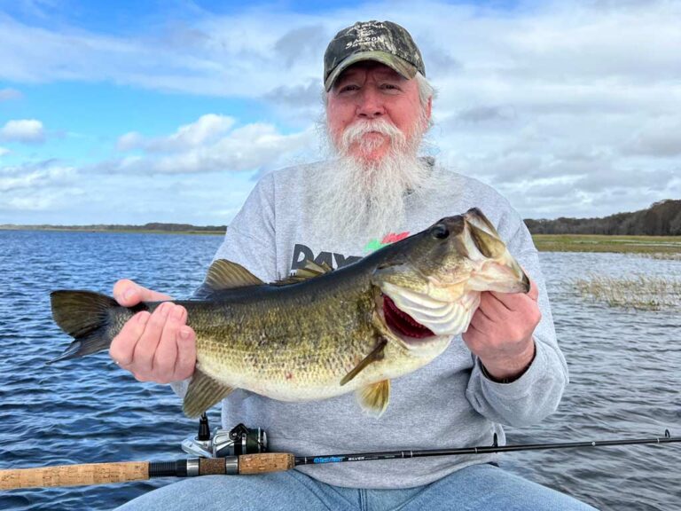 Best Bass Bait: An Angler’s Guide for 2026