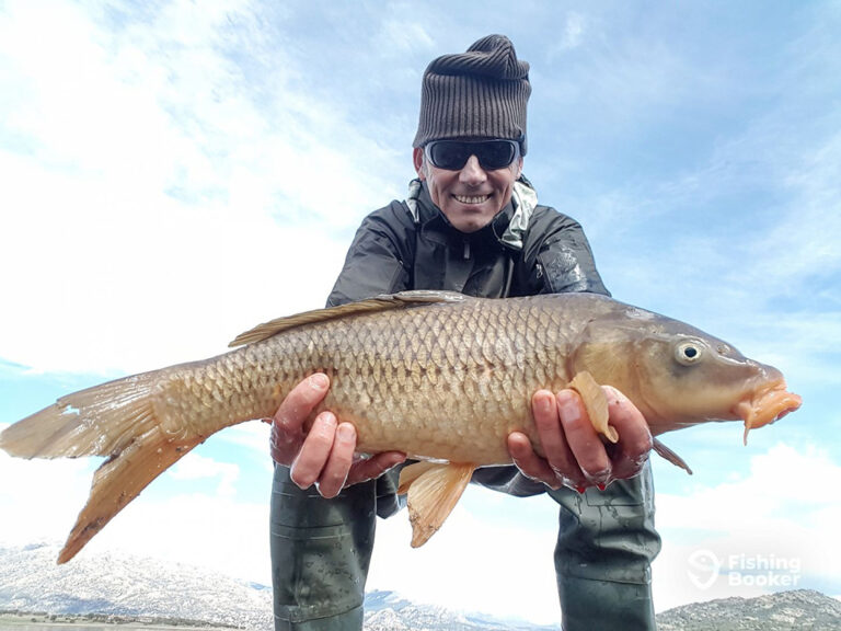The Best Carp Bait: An Angler’s Guide