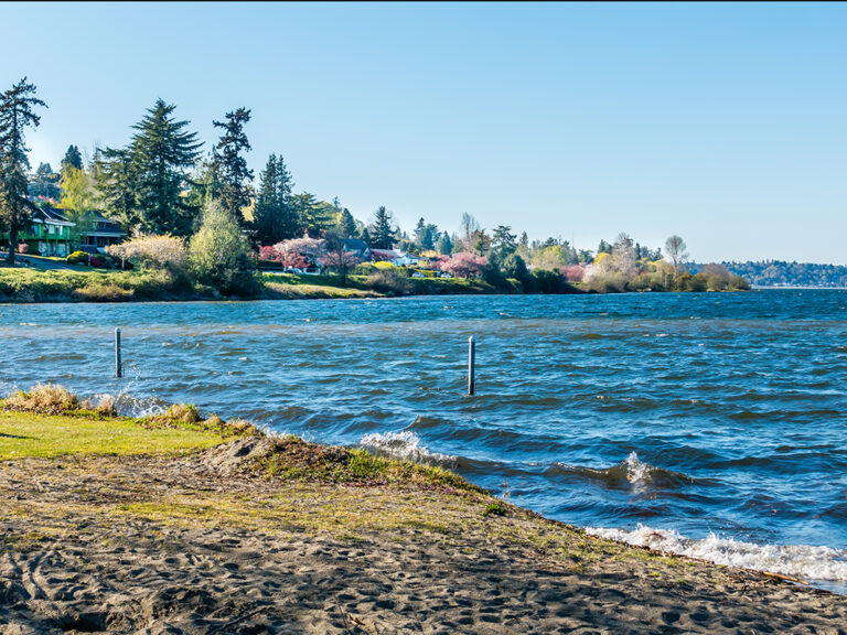 Fishing in LAKE WASHINGTON: The Complete Guide