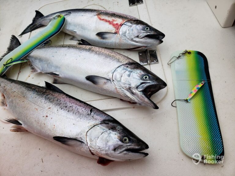 Fishing in LAKE CHELAN: The Complete Guide