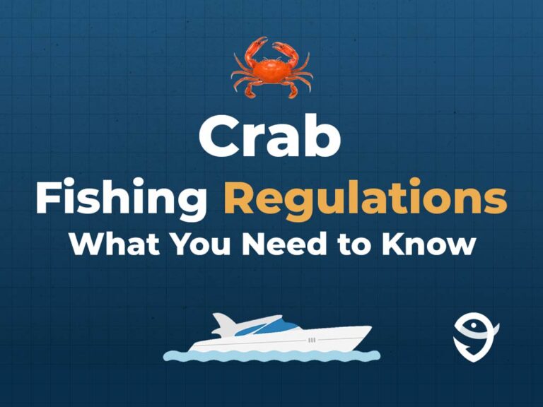 The most important rule you must abide by when crabbing is having an up ...