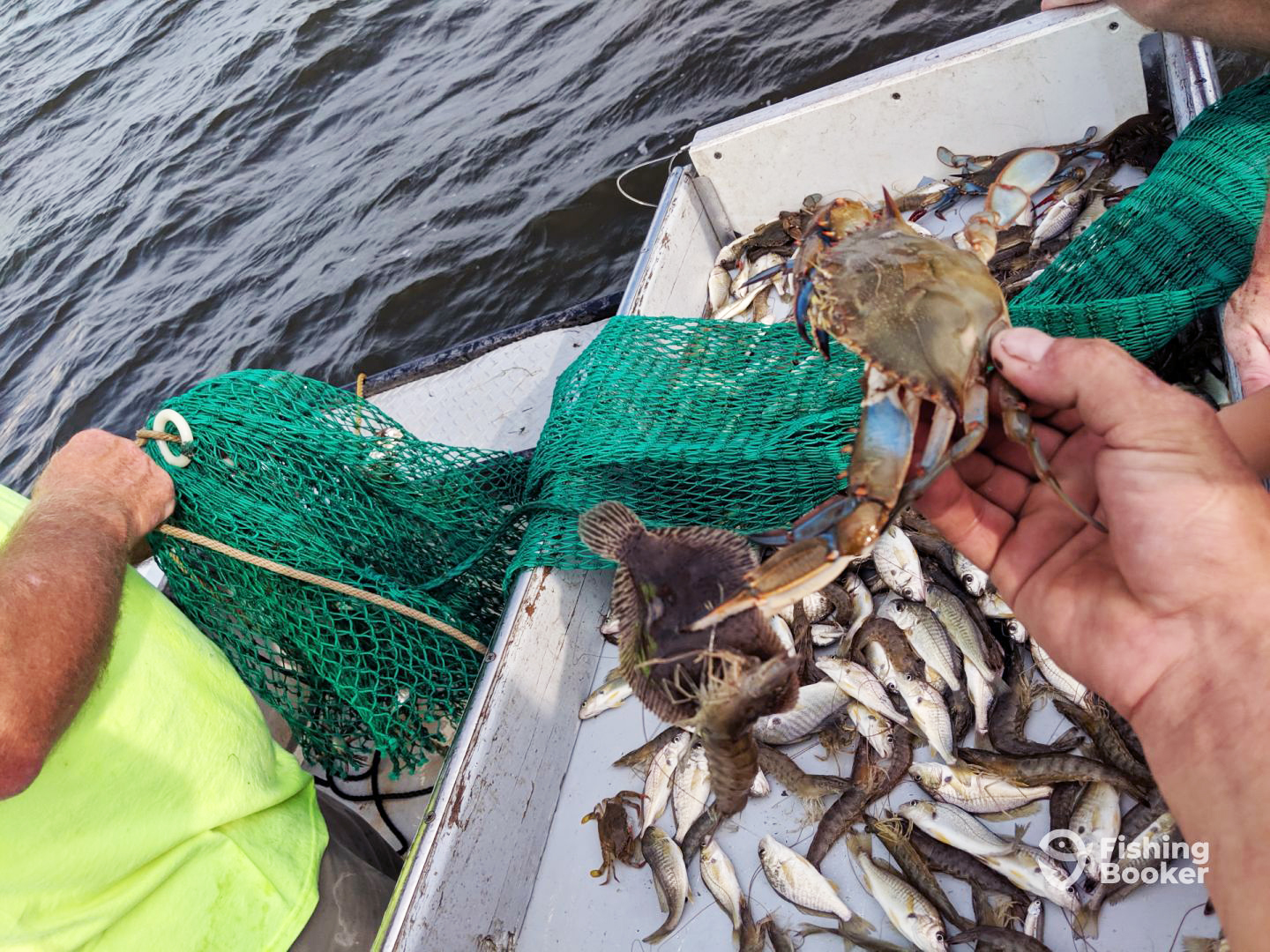 How to Catch Crabs: An Angler’s Guide for 2025