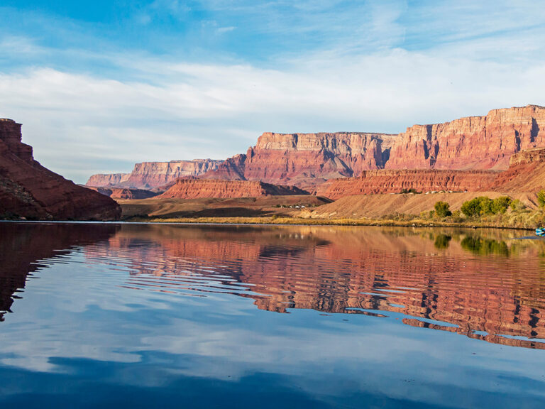 Arizona Fish Species