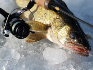 Where to Go Ice Fishing in Canada: Our Top Picks for 2024