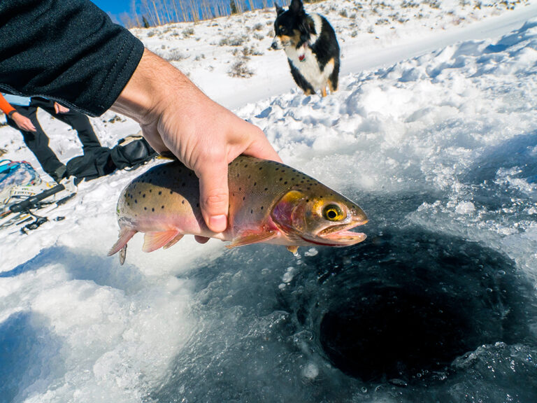 Fishing in UTAH: The Complete Guide
