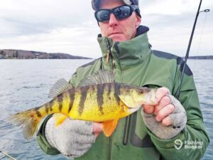 How to Go Perch Fishing: An Angler’s Guide