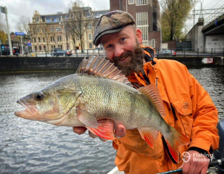 How to Go Perch Fishing: An Angler’s Guide for 2026