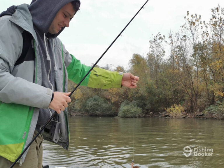 How to Go Perch Fishing: An Angler’s Guide