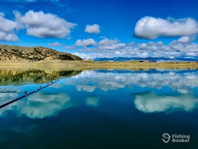 Fishing in WYOMING: The Complete Guide