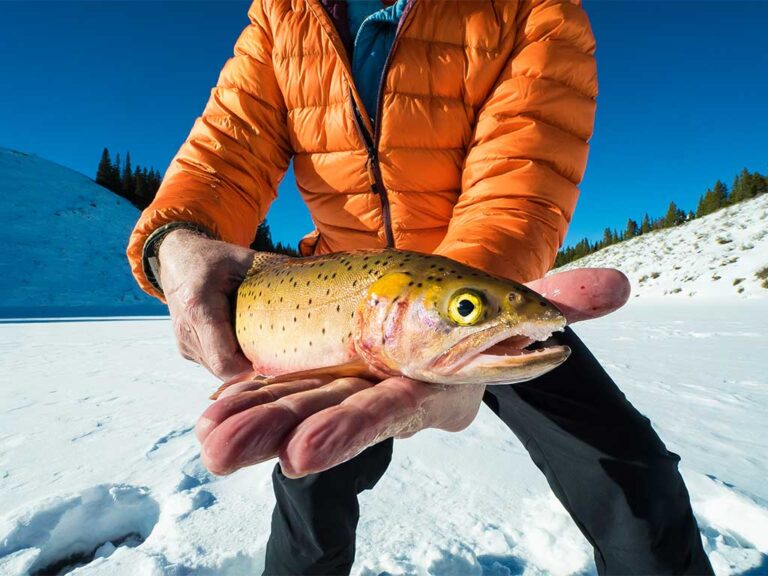Fishing in WYOMING: The Complete Guide