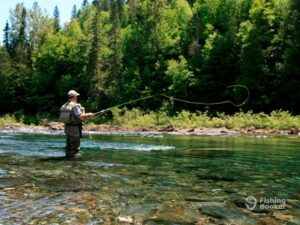 Fishing in QUÉBEC: The Complete Guide
