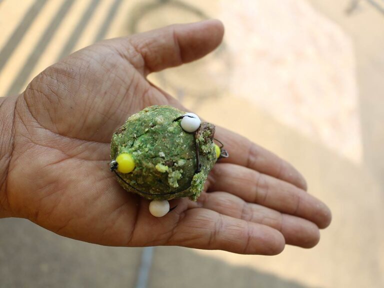 The Best Catfish Bait: An Angler’s Guide for 2025