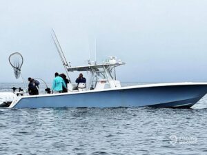 Fishing in WESTPORT: The Complete Guide