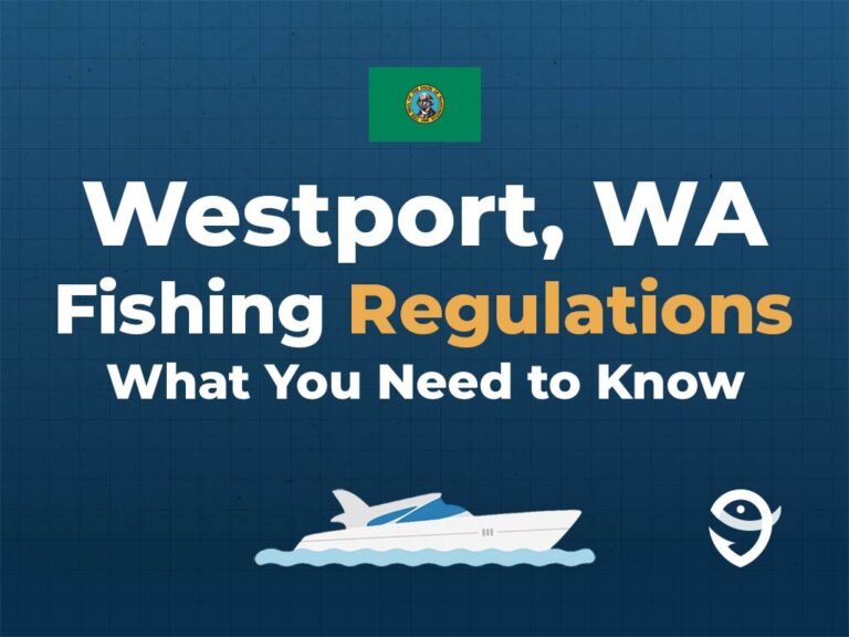 Fishing in WESTPORT: The Complete Guide