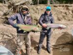 Fishing in SNAKE RIVER: The Complete Guide