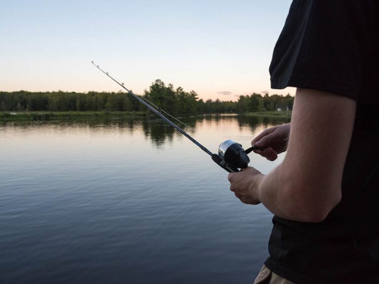 How to Go Shad Fishing: The Complete Guide for 2026