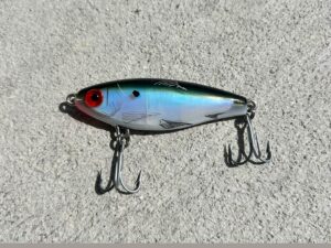 Best Saltwater Lures: A Beginner’s Guide for 2024