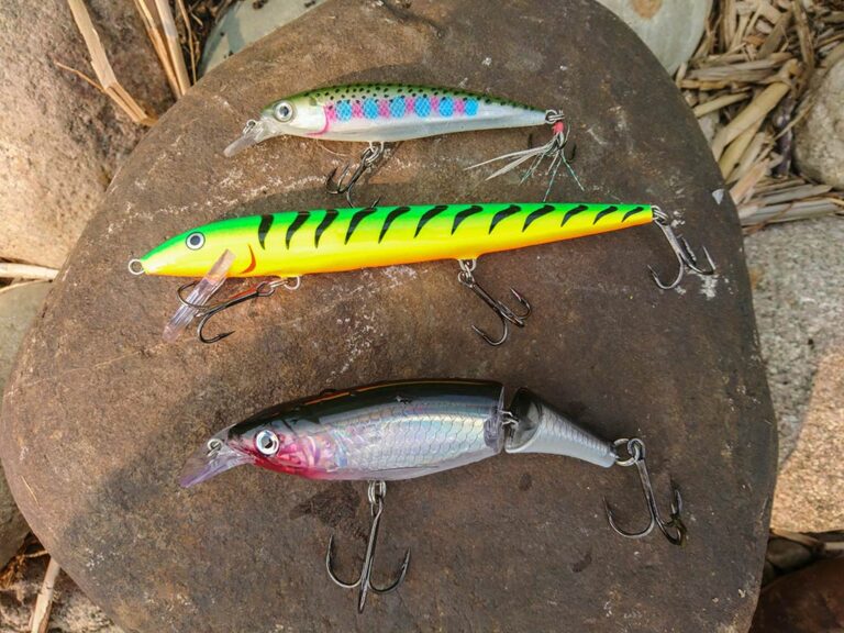 Best Saltwater Lures: A Beginner’s Guide for 2026