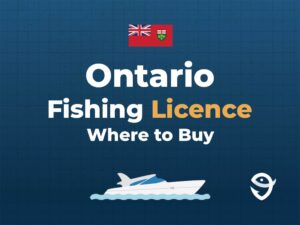 Ontario Fishing Licence: The Complete Guide