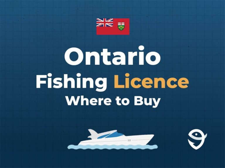 Where to Buy Your Ontario Fishing License & Outdoors Card