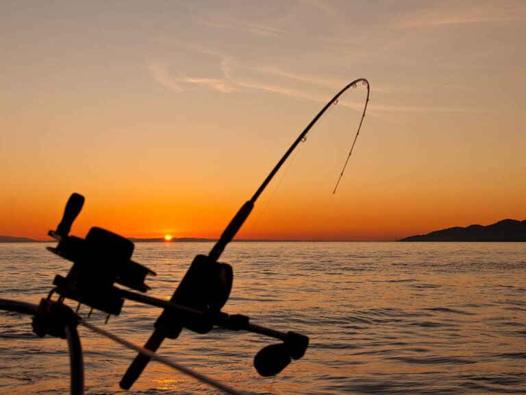 Deep Sea Fishing Reels: A Beginner’s Guide for 2024