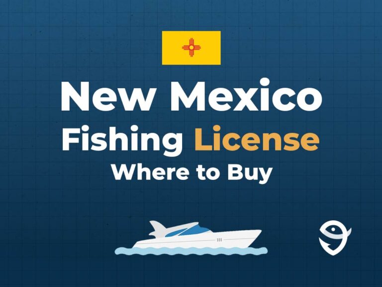 Getting your hands on an NM fishing license is probably the most ...