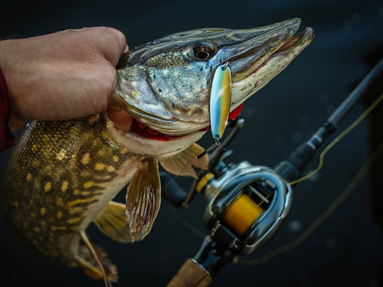 The Best Northern Pike Bait: An Angler’s Guide for 2024