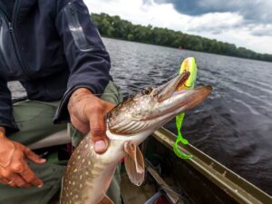 The Best Northern Pike Bait: An Angler’s Guide for 2024