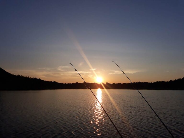 Vermont Fishing License: The Complete Guide for 2024