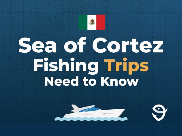 Fishing in SEA OF CORTEZ: The Complete Guide