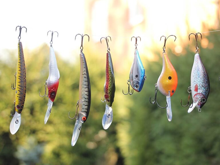Fishing Poppers: A Beginner’s Guide