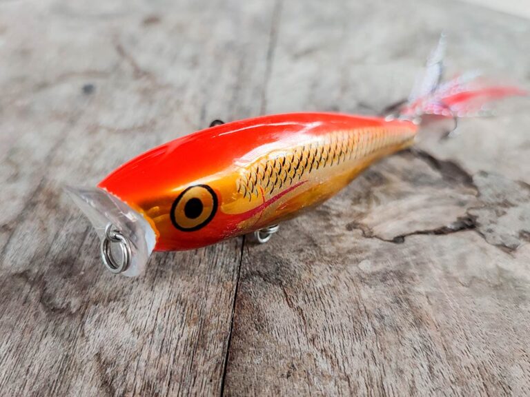 Fishing Poppers: A Beginner’s Guide