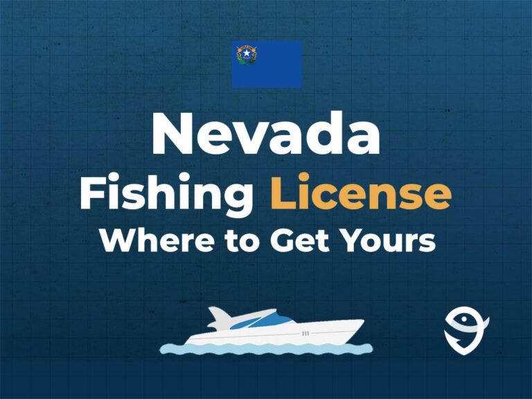 Nevada Fishing License: The Complete Guide for 2024