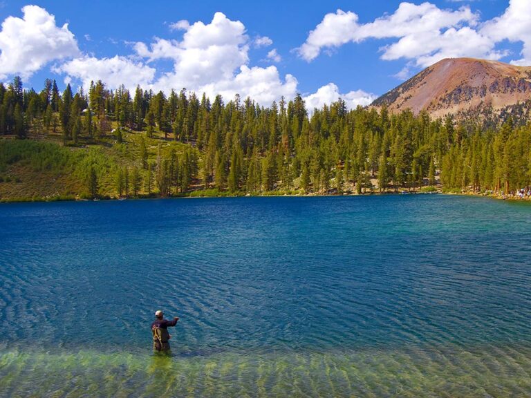 The Best Freshwater Fishing Rigs: An Angler’s Guide for 2025