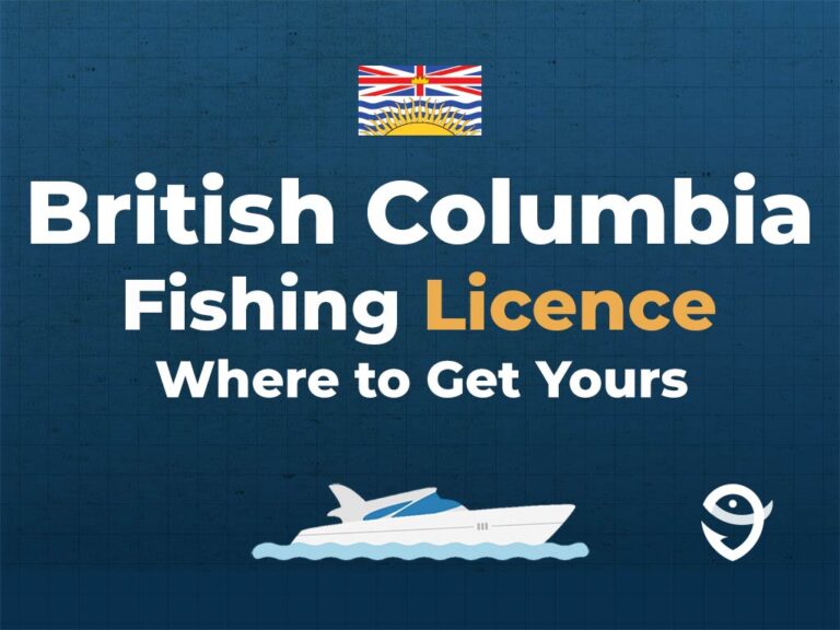 British Columbia Fishing Licence: The Complete Guide