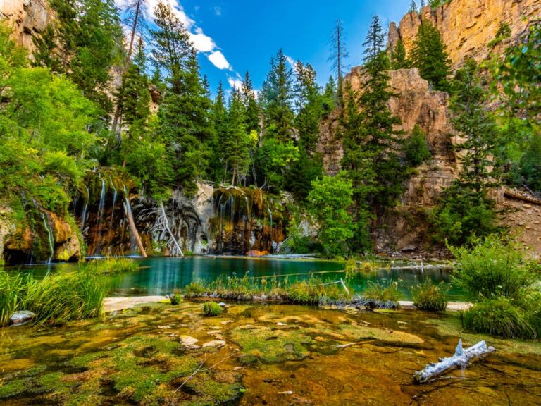 Colorado Fishing Seasons: The Ultimate Guide for 2026