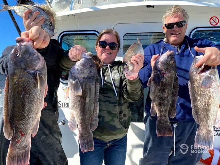 How to Go Tautog Fishing: The Complete Guide for 2024